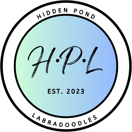 Hidden Pond Labradoodles LLC